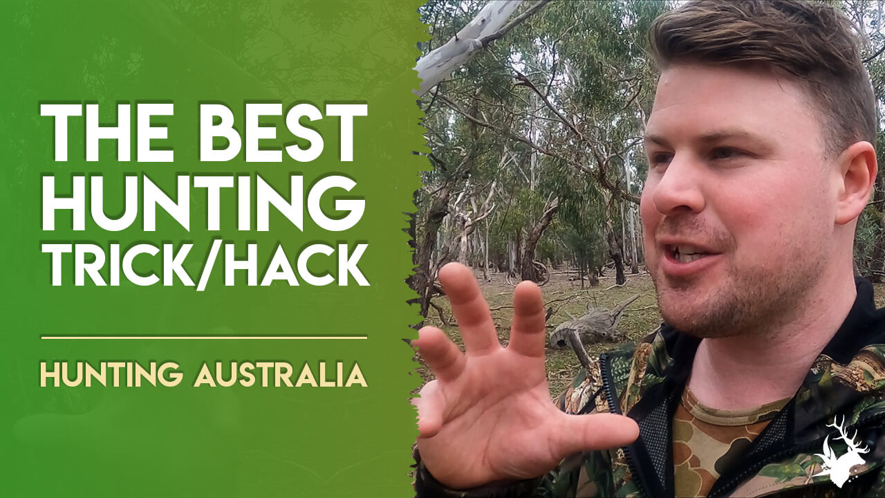 How to find more game when hunting #HuntingAustralia - Australian ...