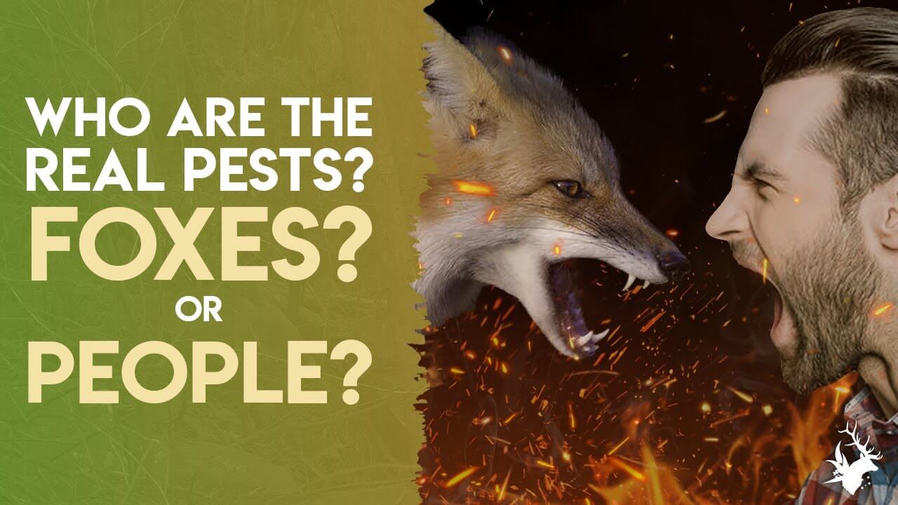 Who are the real pests? - Australian Hunters Club