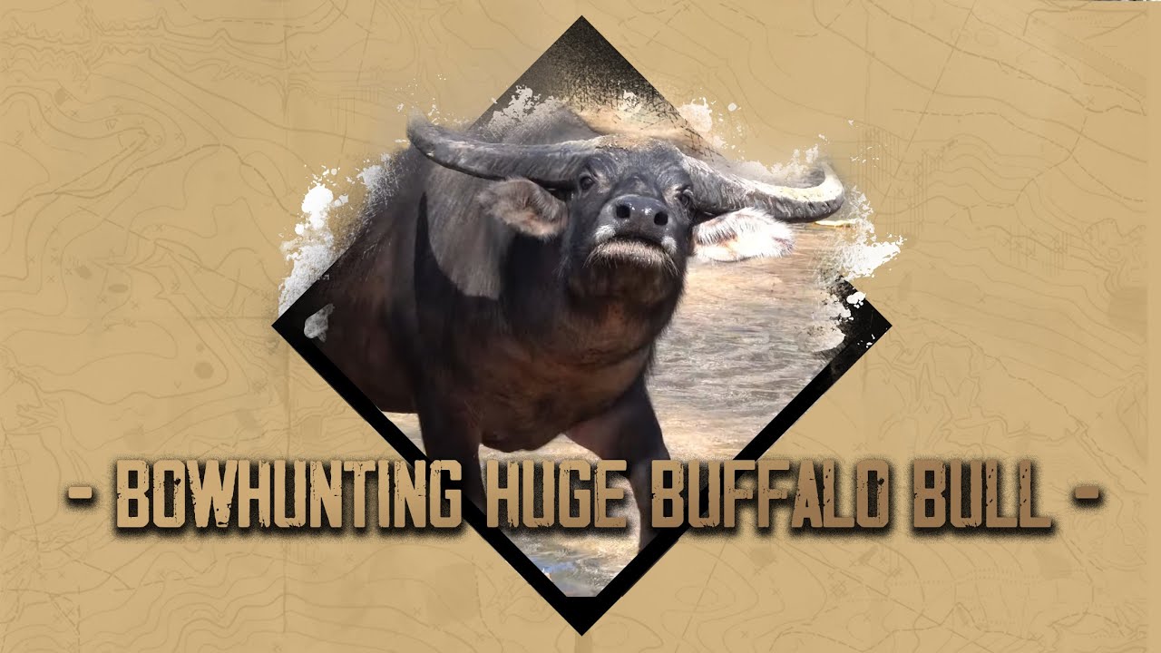Videos - Australian Hunters Club